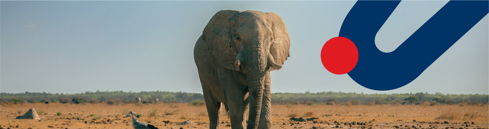 Our Brands – Momentum Metropolitan | Namibia